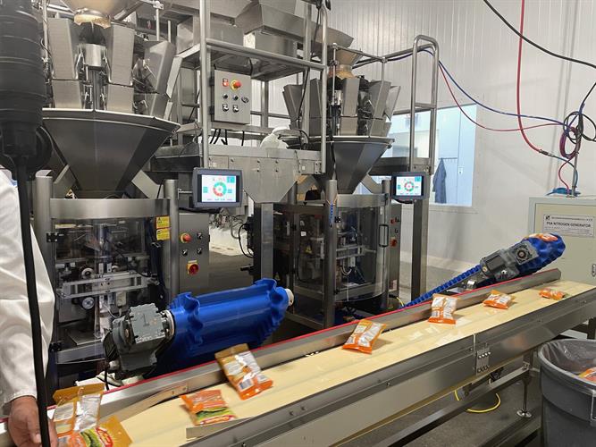 Wepack Dual Bagger with Rotary Scales | Processing + Packaging ...